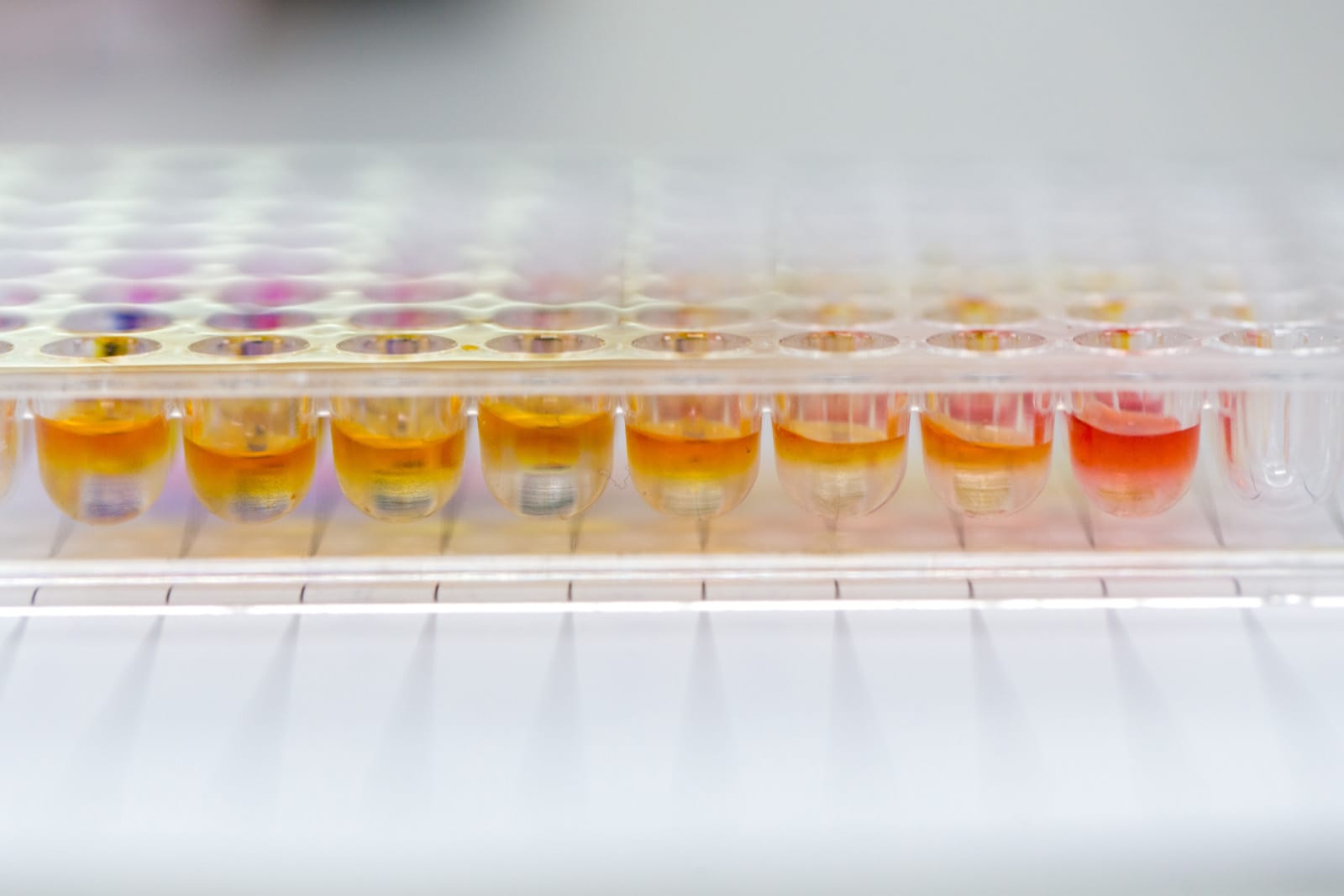 Surface Modification: Improving Well Plates for Drug Discovery ...