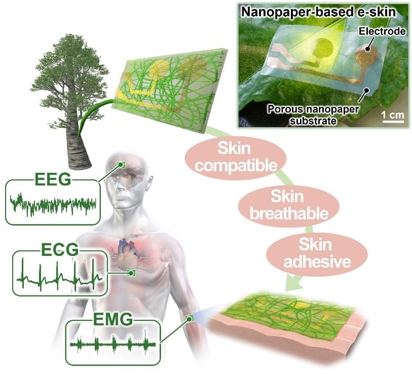Wood-Derived Electronic-Skin Substrates - Medical Design Briefs