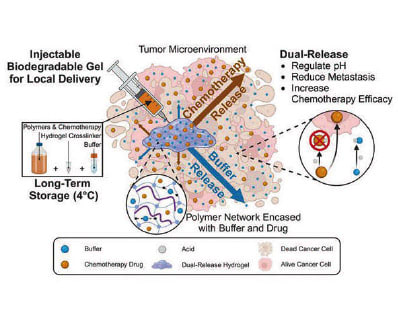 Drug-Delivery System Improves Cancer Treatment - Medical Design Briefs