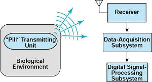 Biotelemetry Using Implanted Unit To Monitor Preterm Labor - Tech Briefs