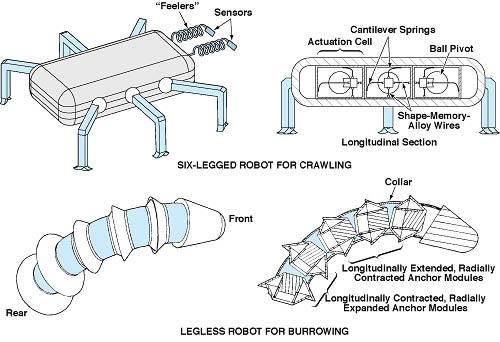 Insectile and Vermiform Exploratory Robots - Tech Briefs