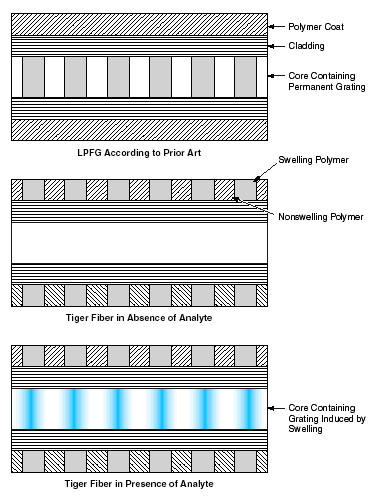 Tiger Fibers for Enhanced Optical Sensing of Volatiles - Tech Briefs