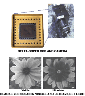 High-Efficiency Ultraviolet CCD Video Camera for Biology - Tech Briefs