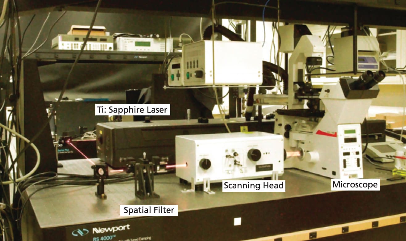 Two-Photon Fluorescence Microscope for Microgravity Research - Tech Briefs