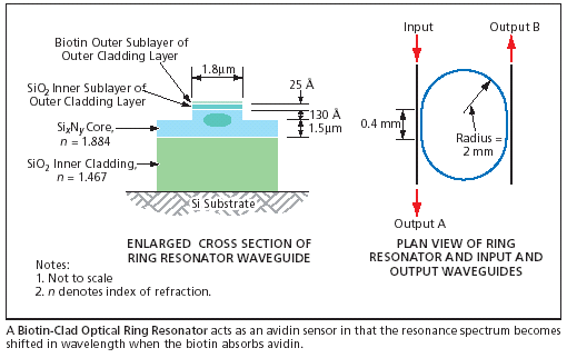 Protein Sensors Based on Optical Ring Resonators - Tech Briefs