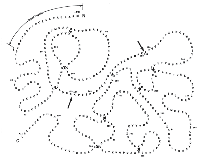 Antibodies Against Three Forms of Urokinase - Tech Briefs
