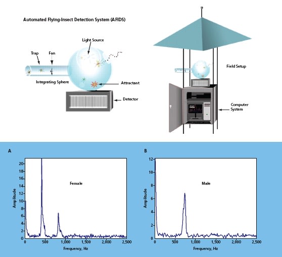An Automated Flying-Insect Detection System - Tech Briefs