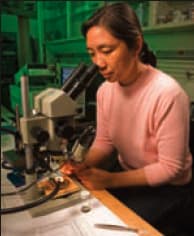 Jing Li, Scientist, NASA Ames Research Center, Moffett Field, CA - Tech ...