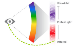 The Human Eye Can See ‘Invisible’ Infrared Light - Tech Briefs