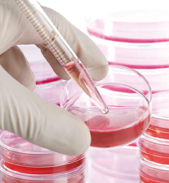 High-Quality Tissue Formation Method - Tech Briefs