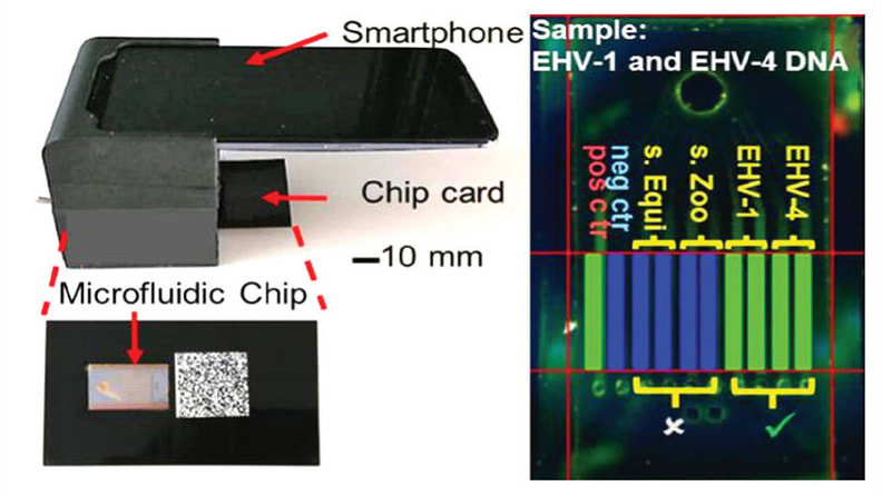 Integrated Lab-on-a-Chip Uses Smartphone to Detect Multiple Pathogens ...