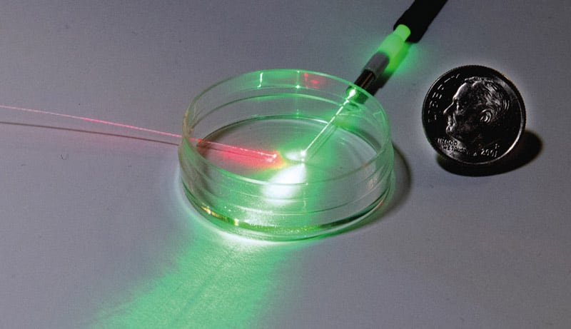 Tracking Lab-Grown Tissue with Light - Tech Briefs