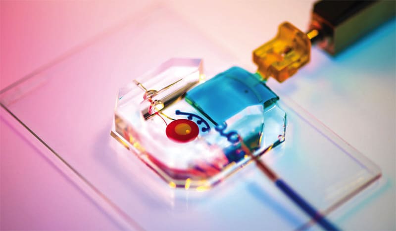 Blinking Artificial Human Eye Replica for Disease Modeling and Drug ...