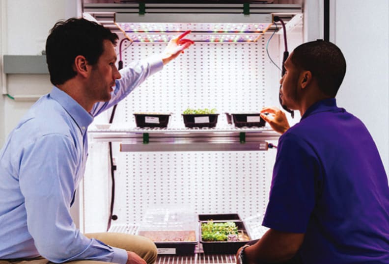 Space Station Garden Shines Light on Earth-Based Horticulture - Tech Briefs