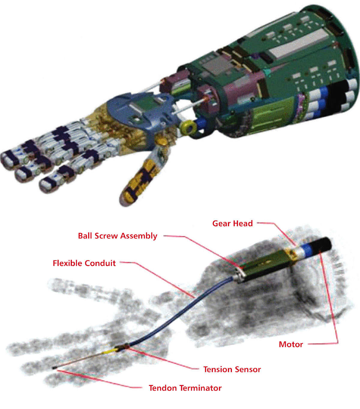 Advanced Humanoid Robotic Hand Technologies - Tech Briefs