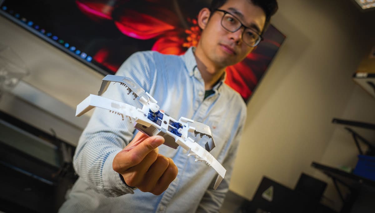 3D-Printed Insect-Inspired Robots - Tech Briefs