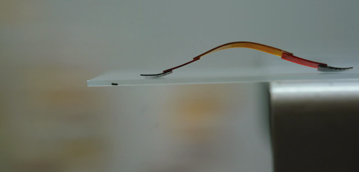 Gecko-Inspired Climbing Soft Robot - Tech Briefs