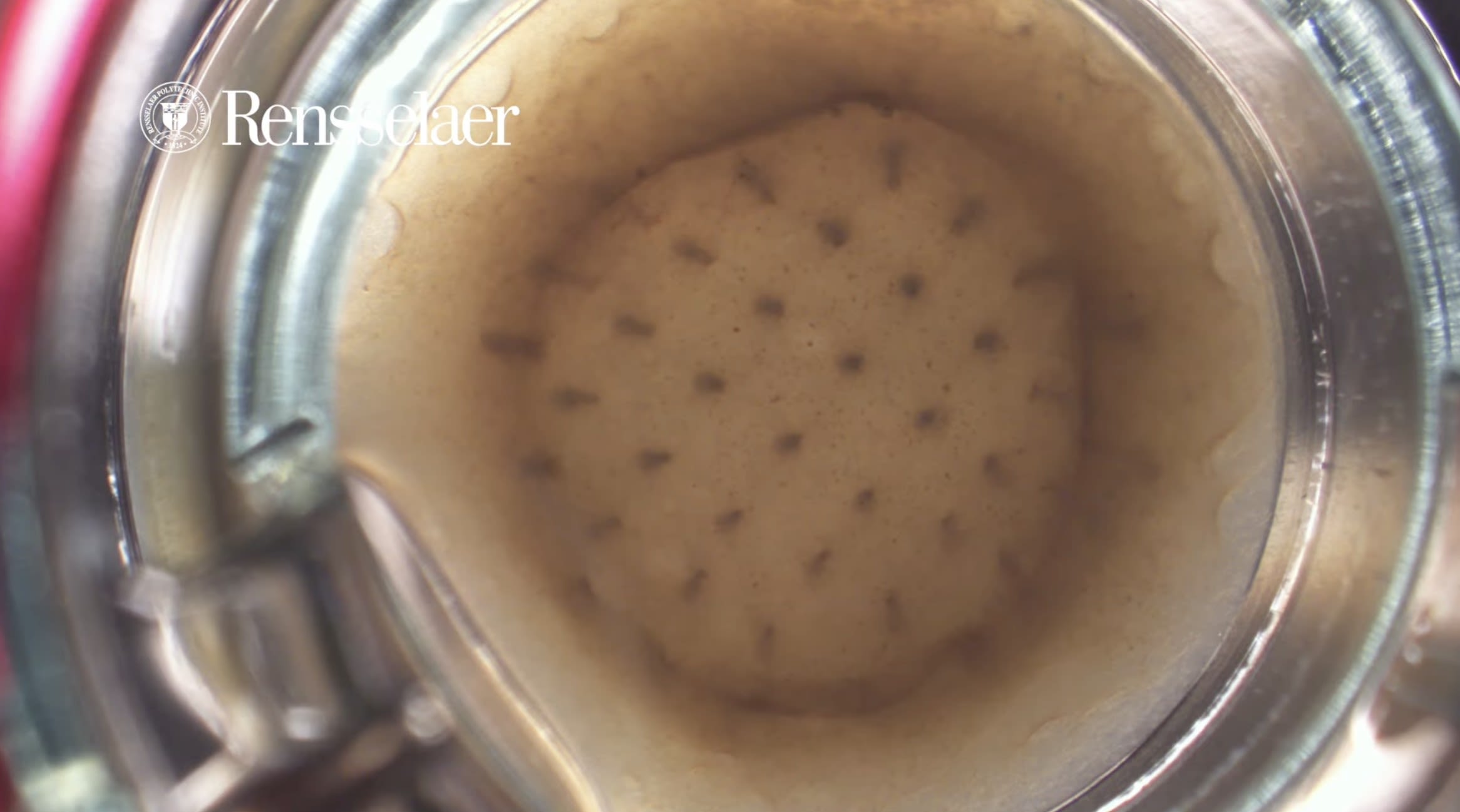 3D Printing Hair Follicles in Lab-Grown Skin - Tech Briefs