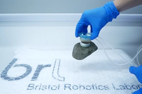 New Octopus-Inspired Gripper Enables Versatile Soft Adhesion - Tech Briefs