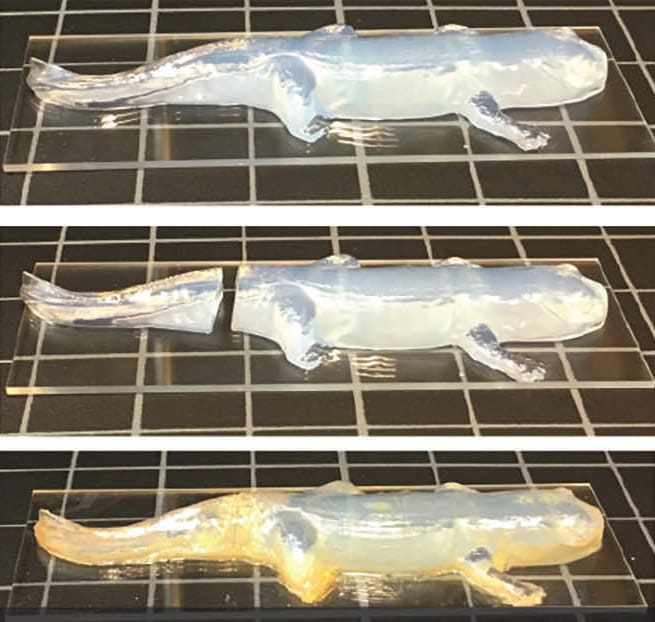 Dynamic Hydrogel Makes Soft Robot Components and Building Blocks - Tech ...