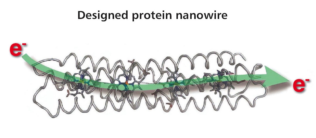 Making Conductive, Biodegradable Wires from Designed Proteins - Tech Briefs