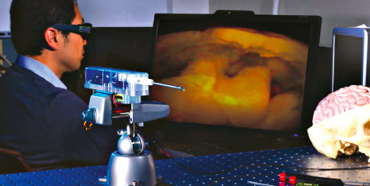 From 2D to 3D: MARVEL Tool Offers Immersive View Inside the Brain ...