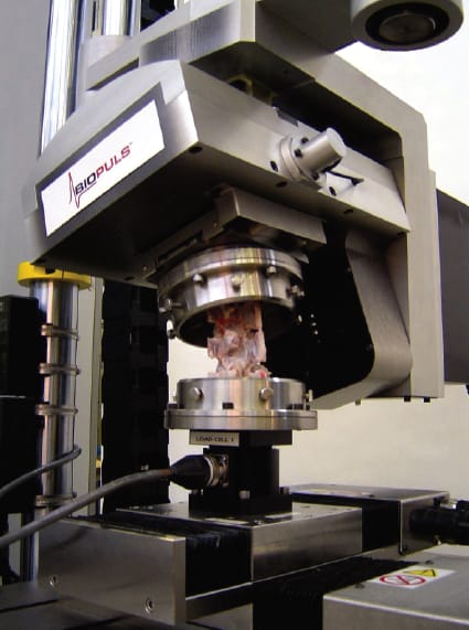 Device Simulates Spine Motions - Tech Briefs