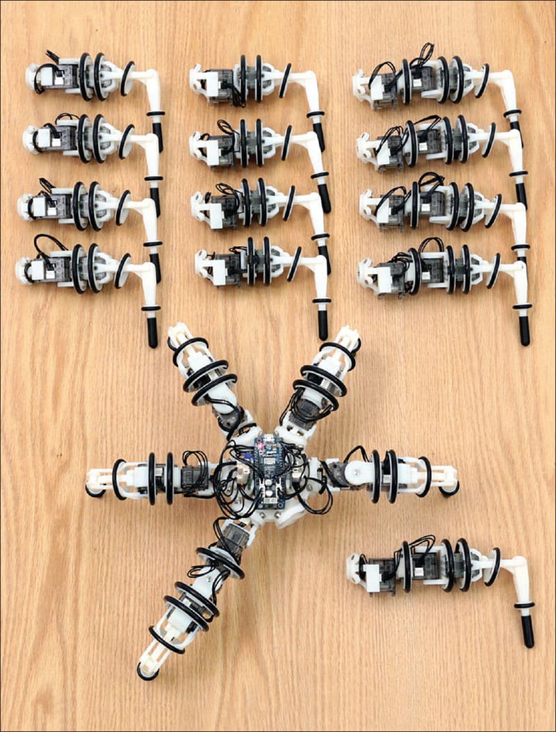 Multi-Legged Robot Reconfigures in Real Time - Tech Briefs