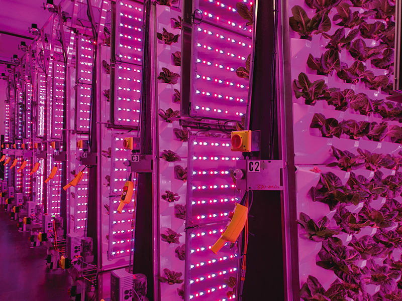 Traverse System Enables Vertical Farming - Tech Briefs