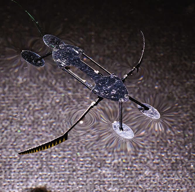 Tiny, Fully Functional Water-Strider and Mini-Bug Robots - Tech Briefs