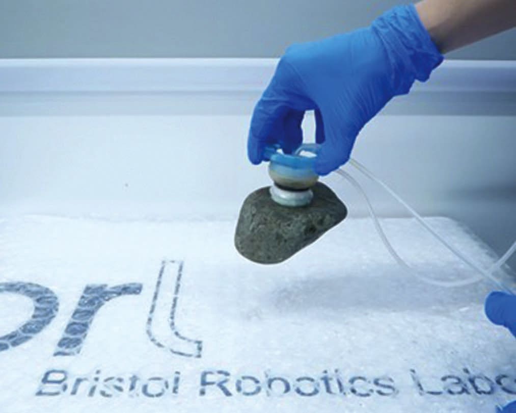 Octopus-Inspired Suction Mechanism for Robots - Tech Briefs