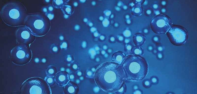 Live Cell Imaging Using Holotomography - Tech Briefs