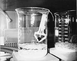 Vapor Drying for Preparing InGaAsP for Epitaxial Regrowth - Tech Briefs