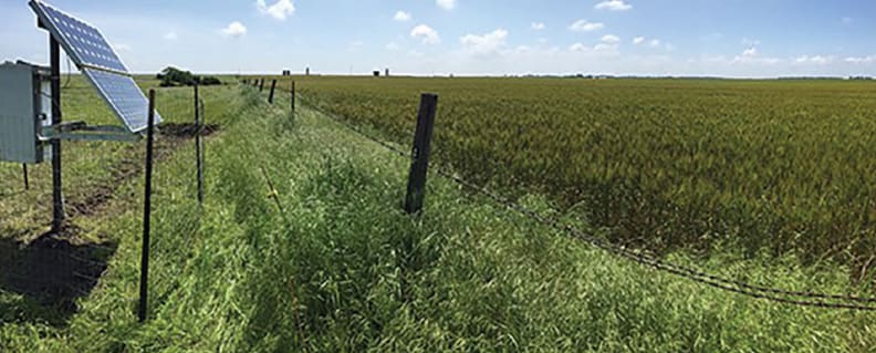 Project Helps Provide More Precise Detection and Understanding of ...