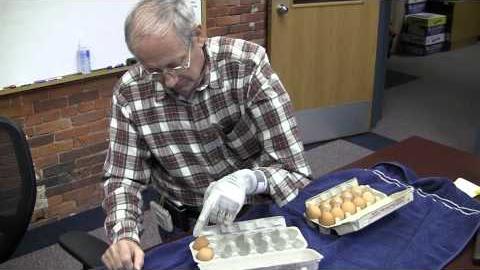 FDA-Approved DEKA Arm System: A Breakthrough in Upper-Limb Prosthetics ...