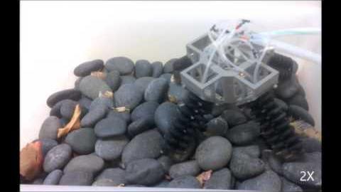 A First: 3D-Printed, Squishy Four-Legged Robot Can Climb Over Obstacles ...