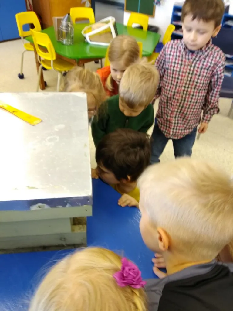 Learning from Experts