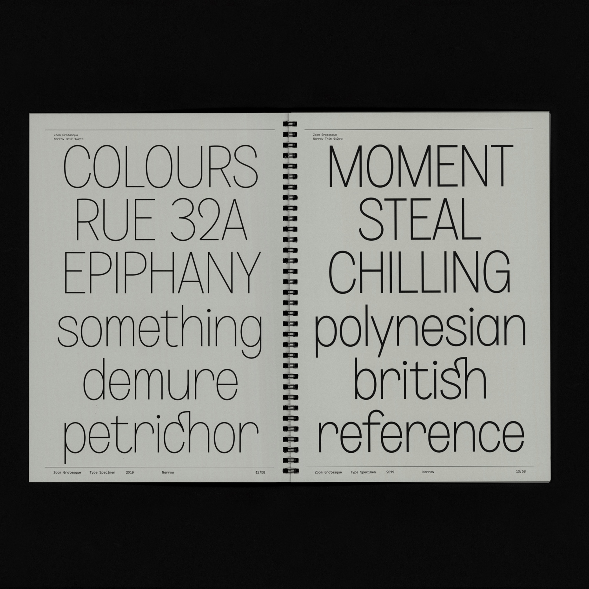 Zoom Pro Specimen | The Designers Foundry