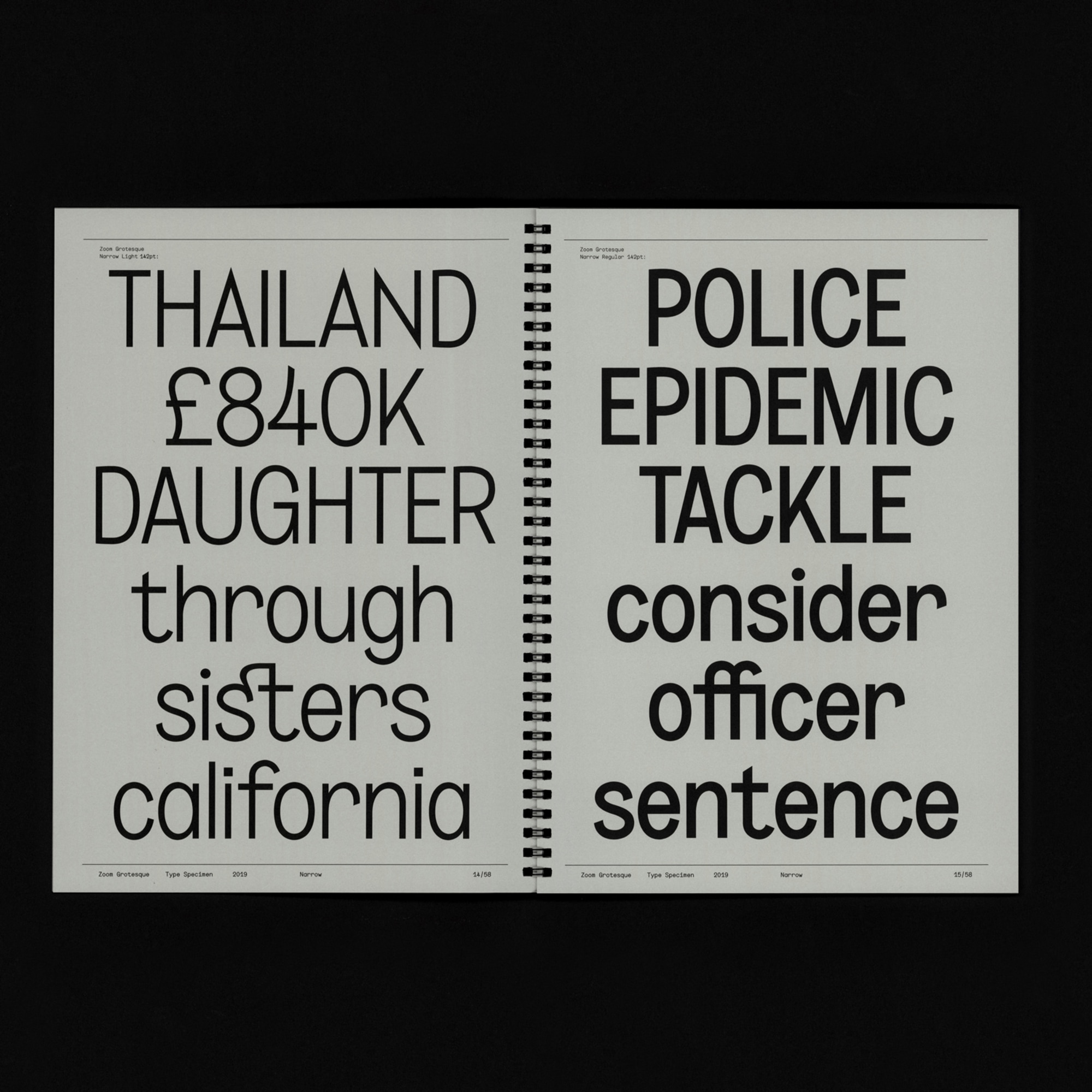 Zoom Pro Specimen | The Designers Foundry