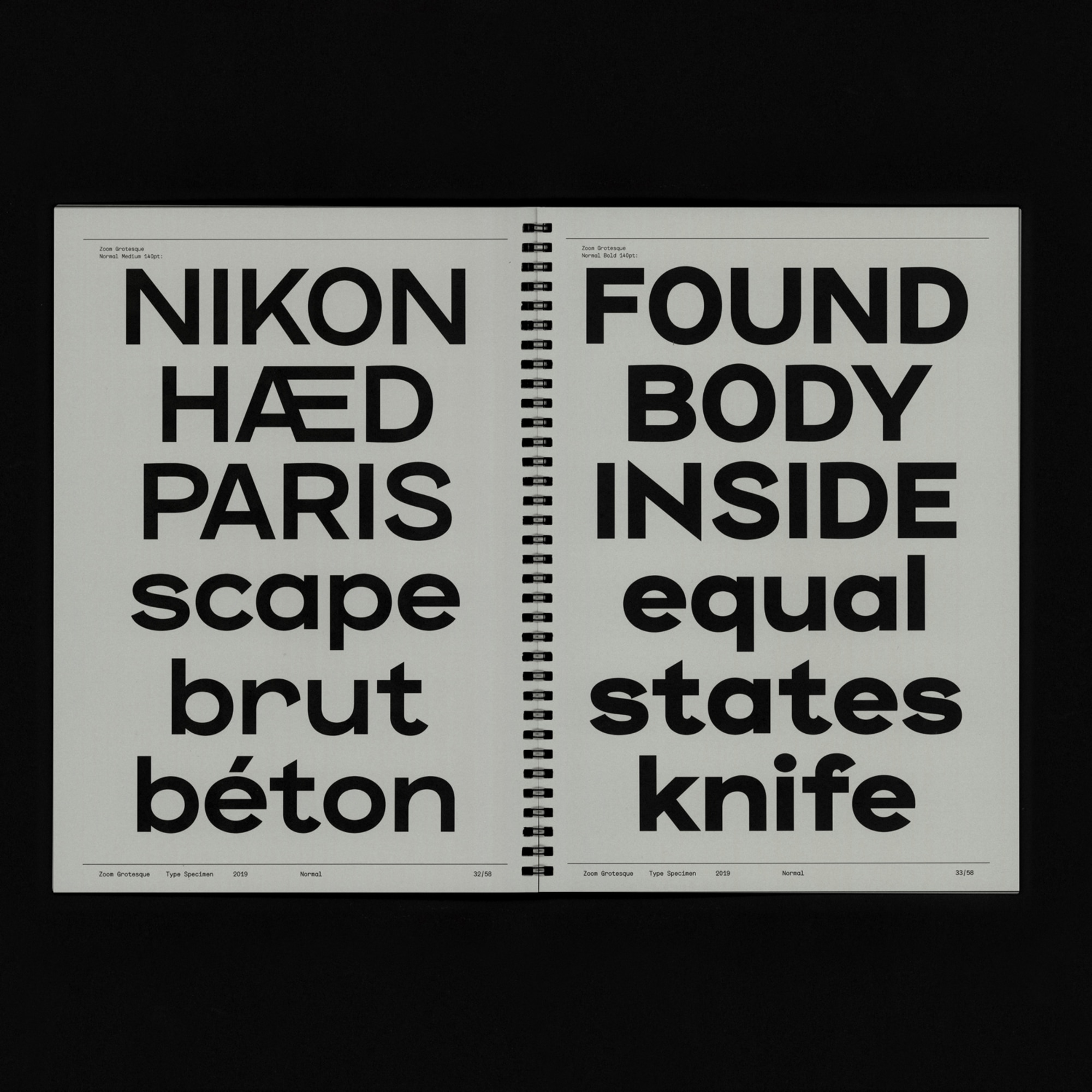 Zoom Pro Specimen | The Designers Foundry