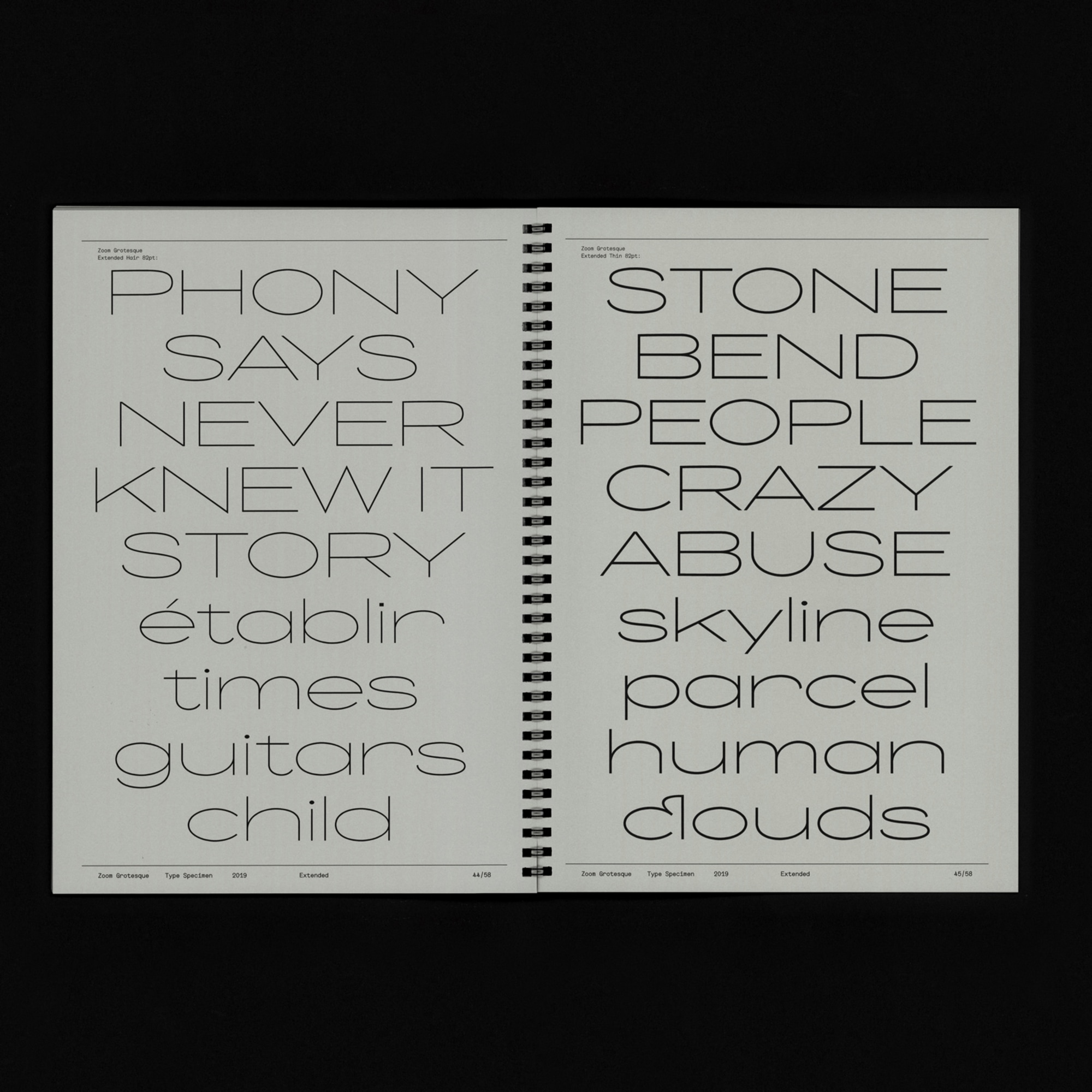 Zoom Pro Specimen | The Designers Foundry