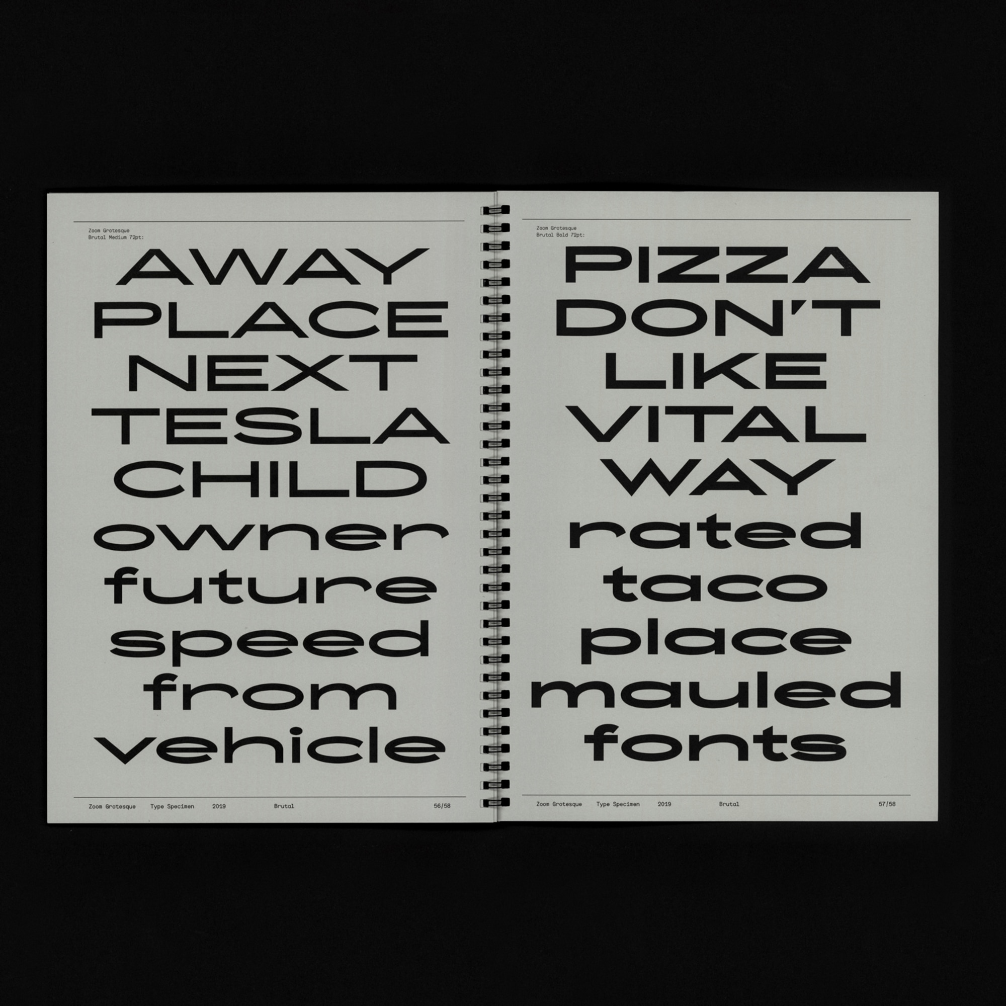 Zoom Pro Specimen | The Designers Foundry