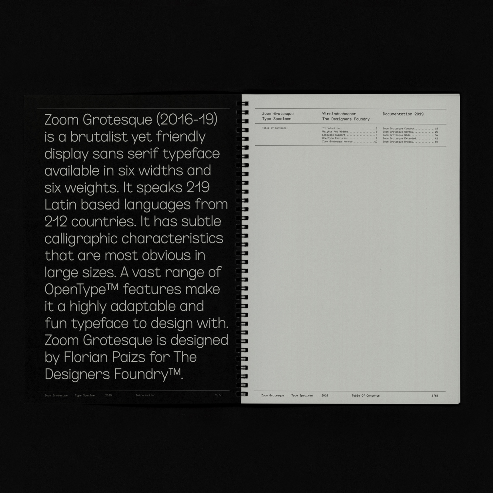 Zoom Pro Specimen | The Designers Foundry