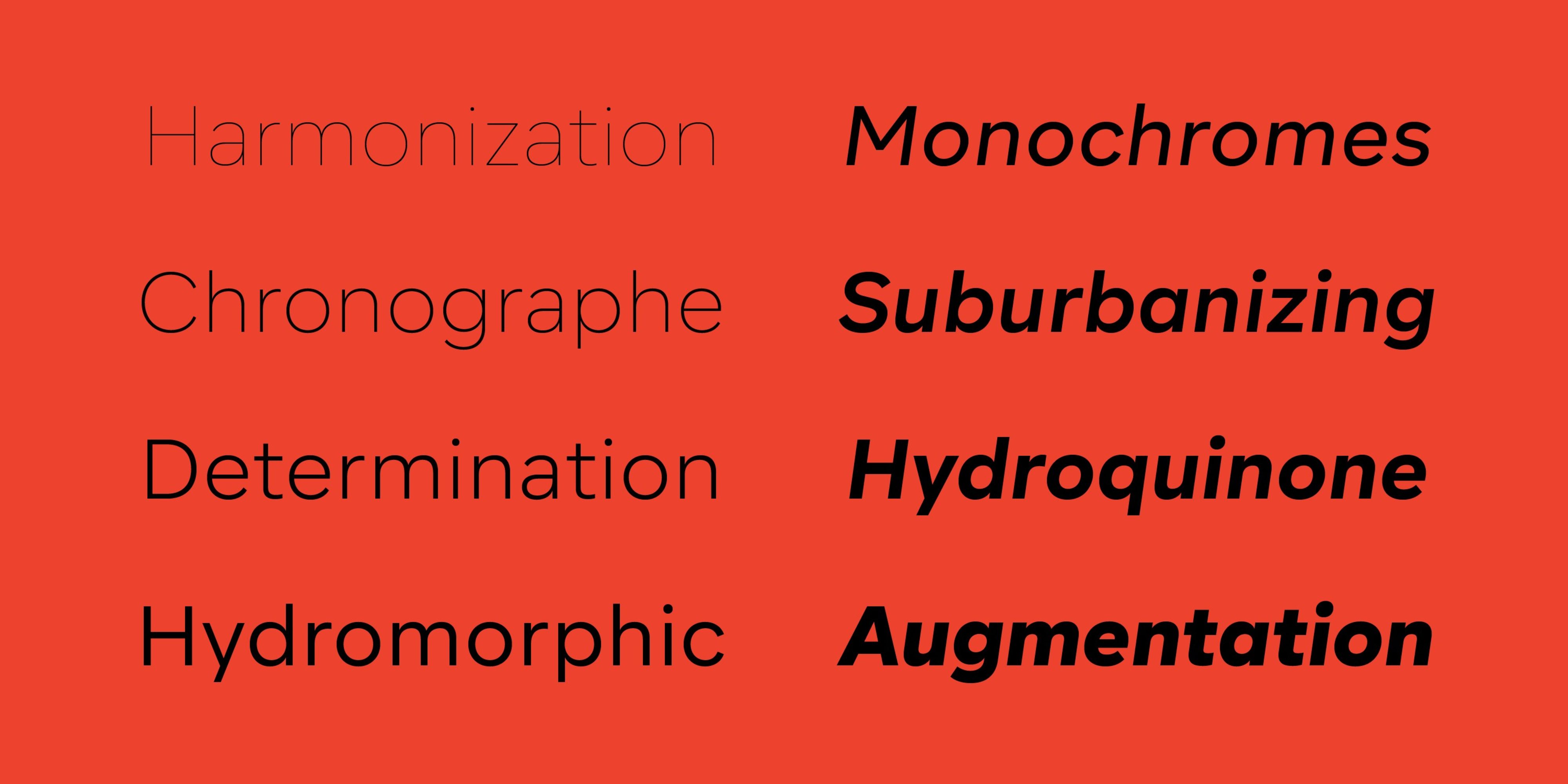 Segma | The Designers Foundry