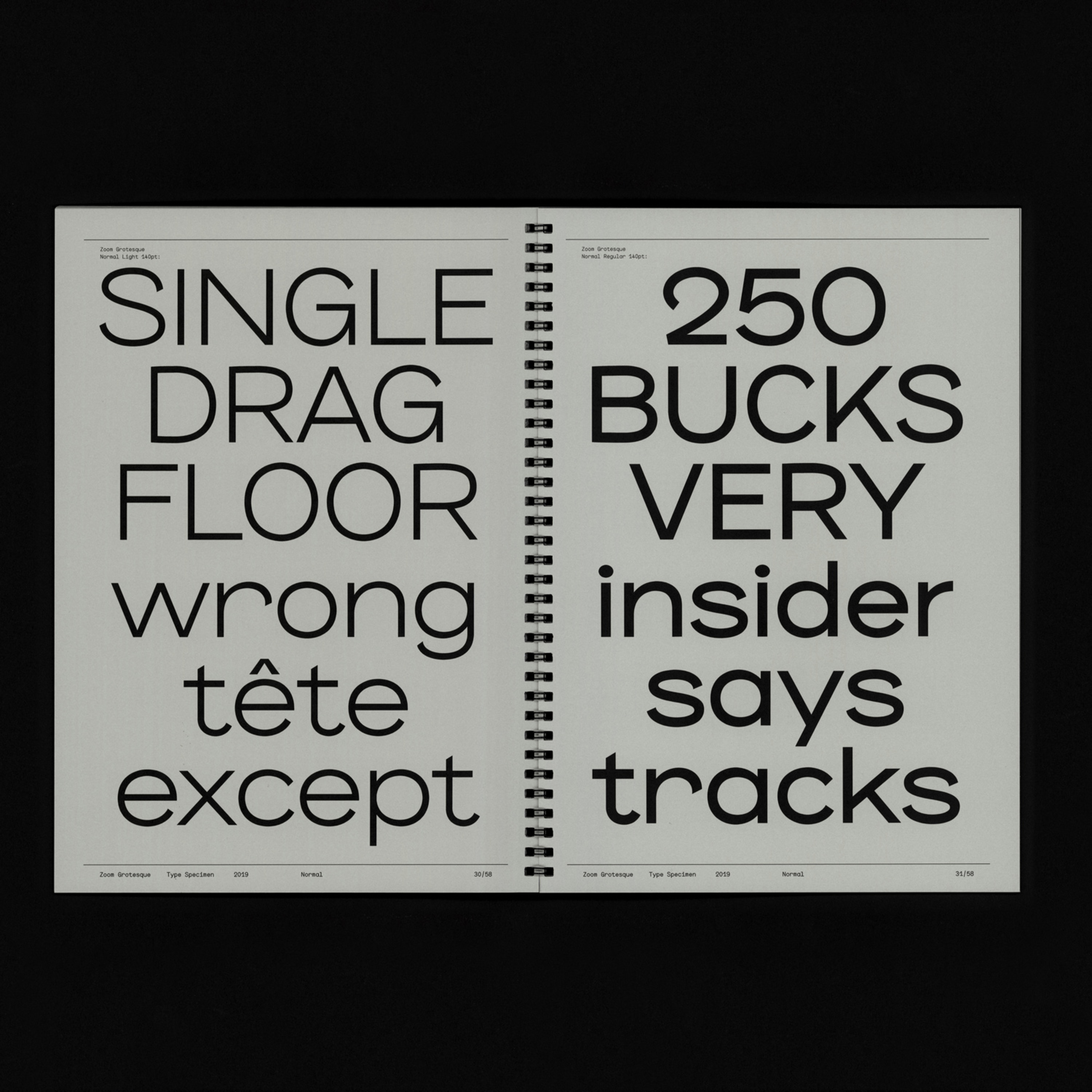 Zoom Pro Specimen | The Designers Foundry