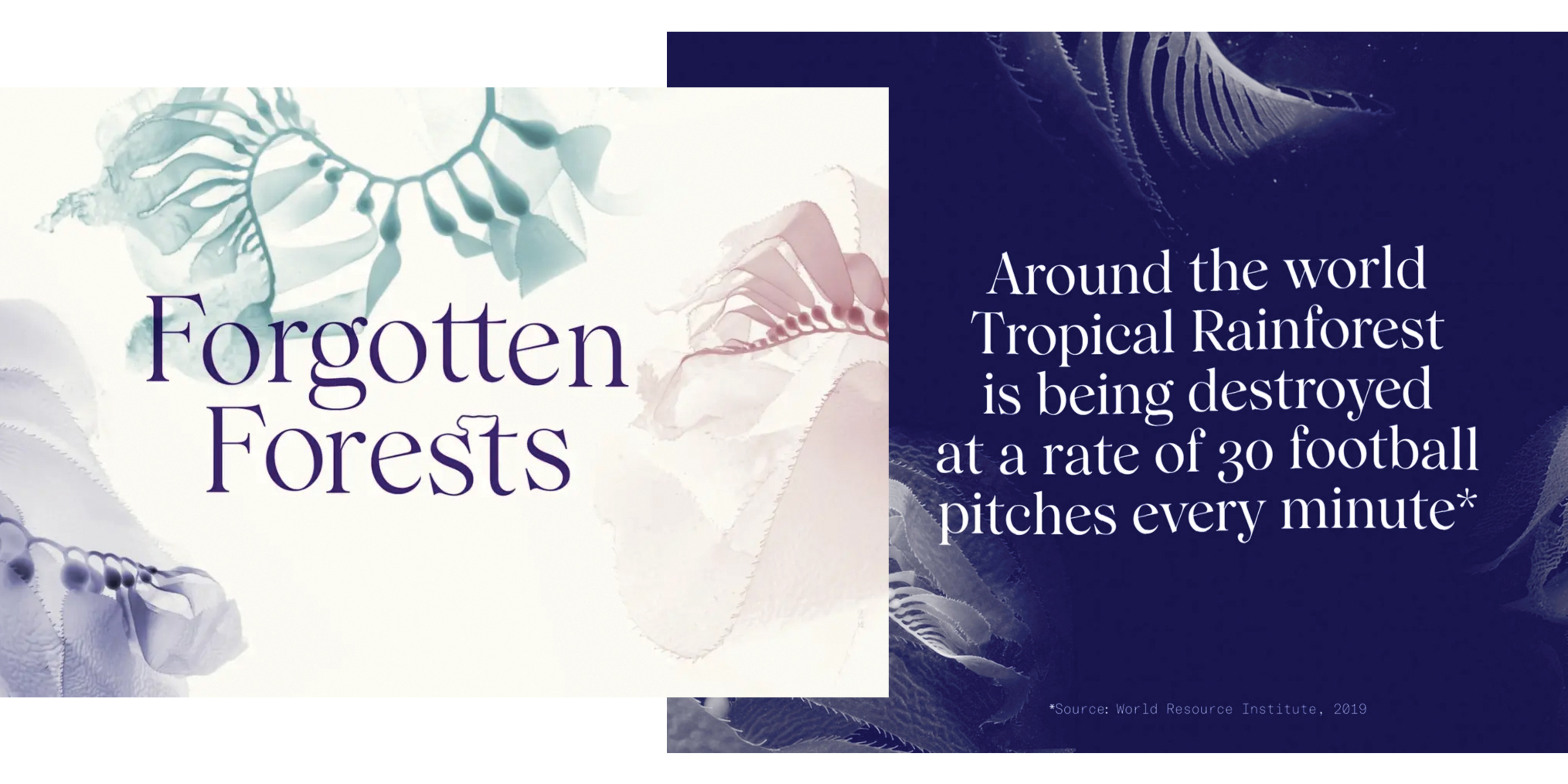 Wulkan Display | The Designers Foundry