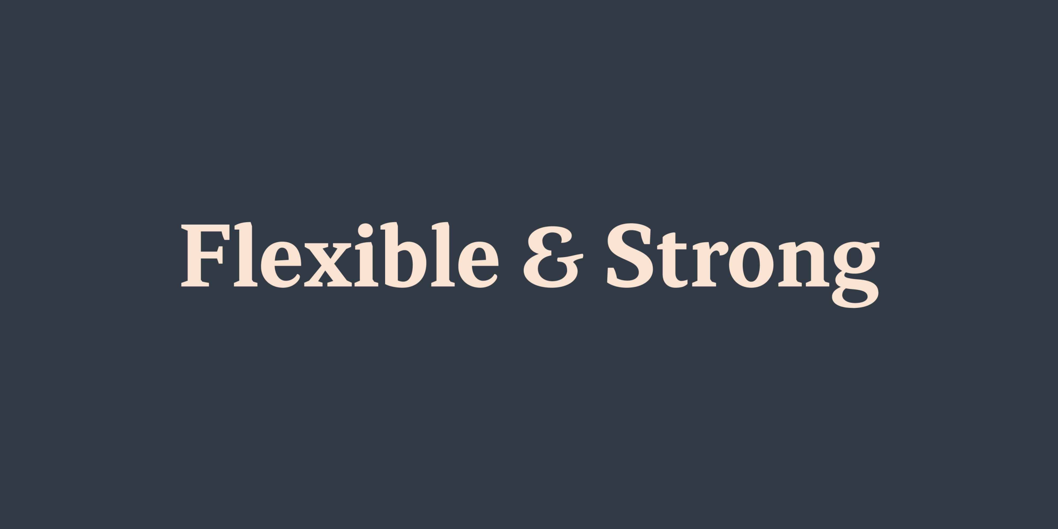 Atiza Text | The Designers Foundry