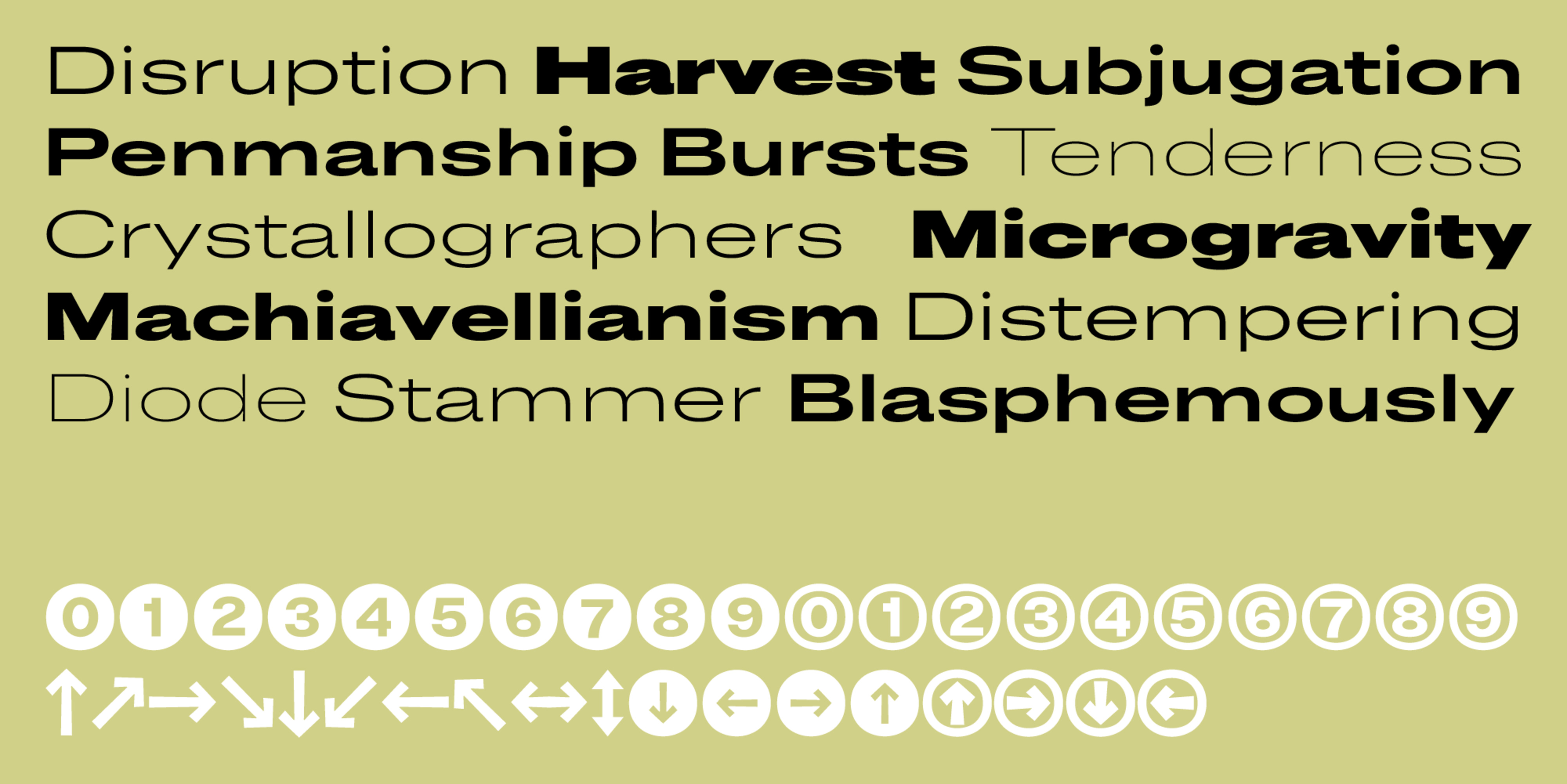 Cards | The Designers Foundry