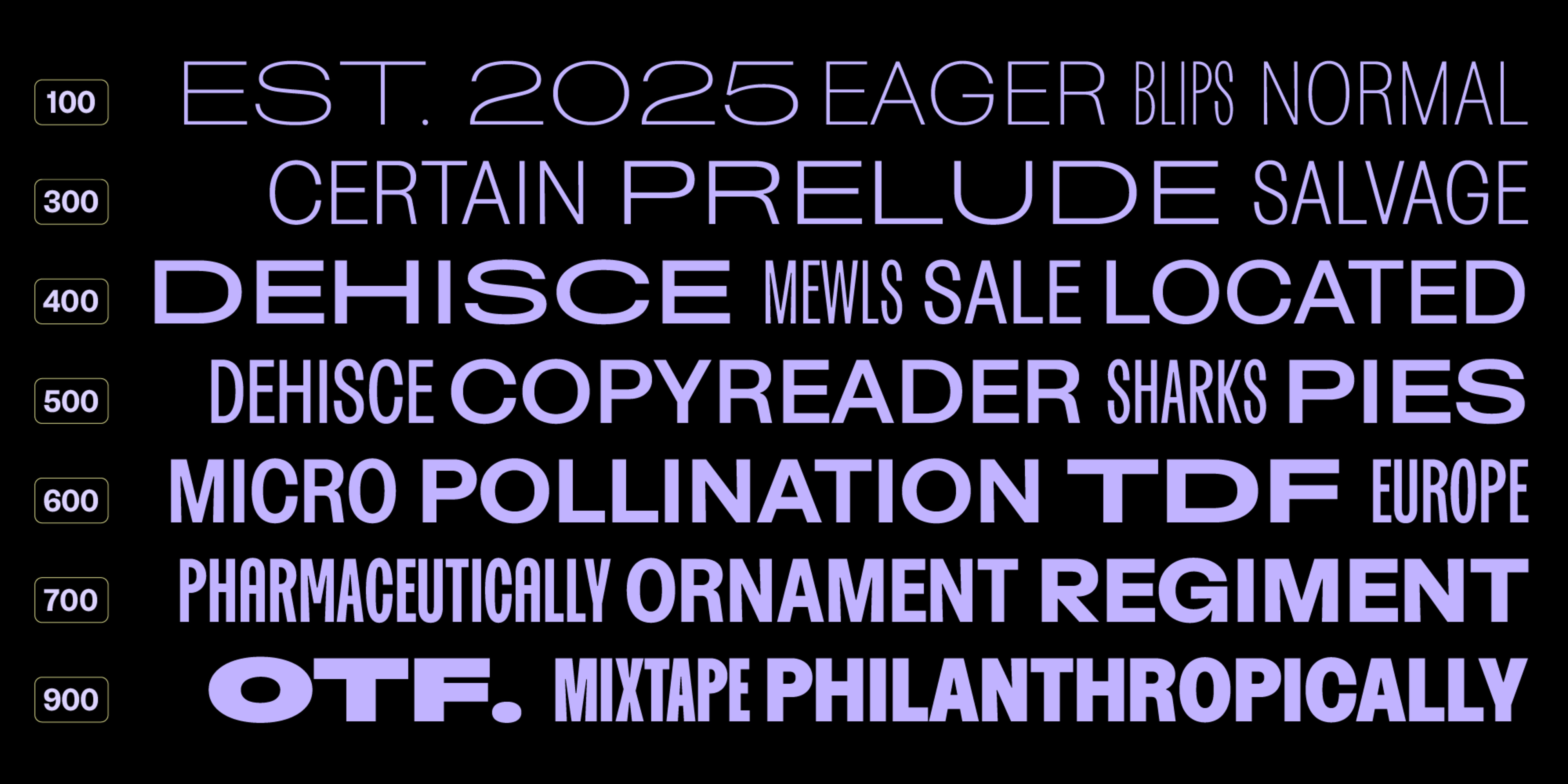 Cards | The Designers Foundry