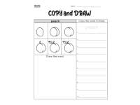 12 Copy and Draw Spelling Vocabulary Worksheets - Fruit by Teach Simple